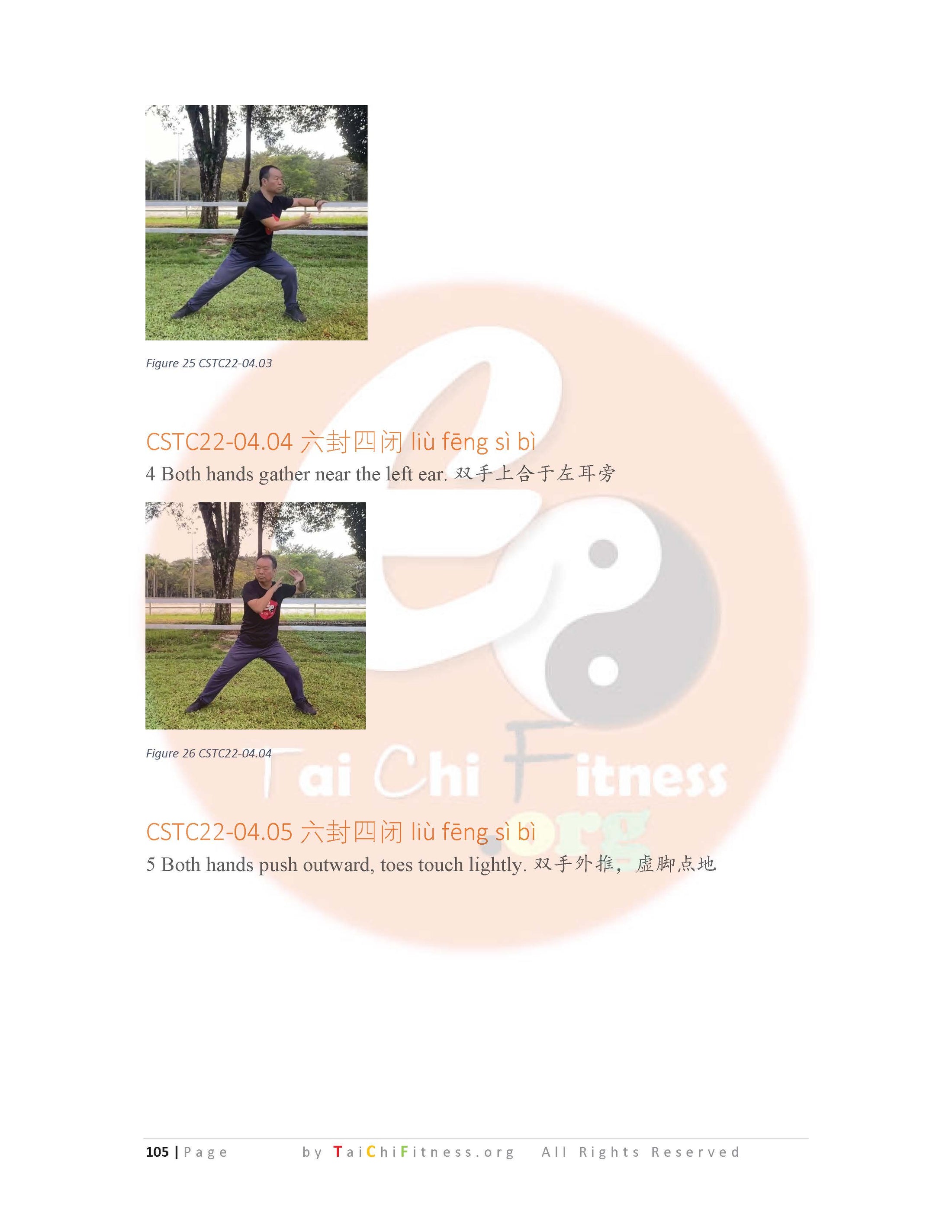 Chen Style Tai Chi 22-Form 陈氏太极拳22式 – 1Salesforce